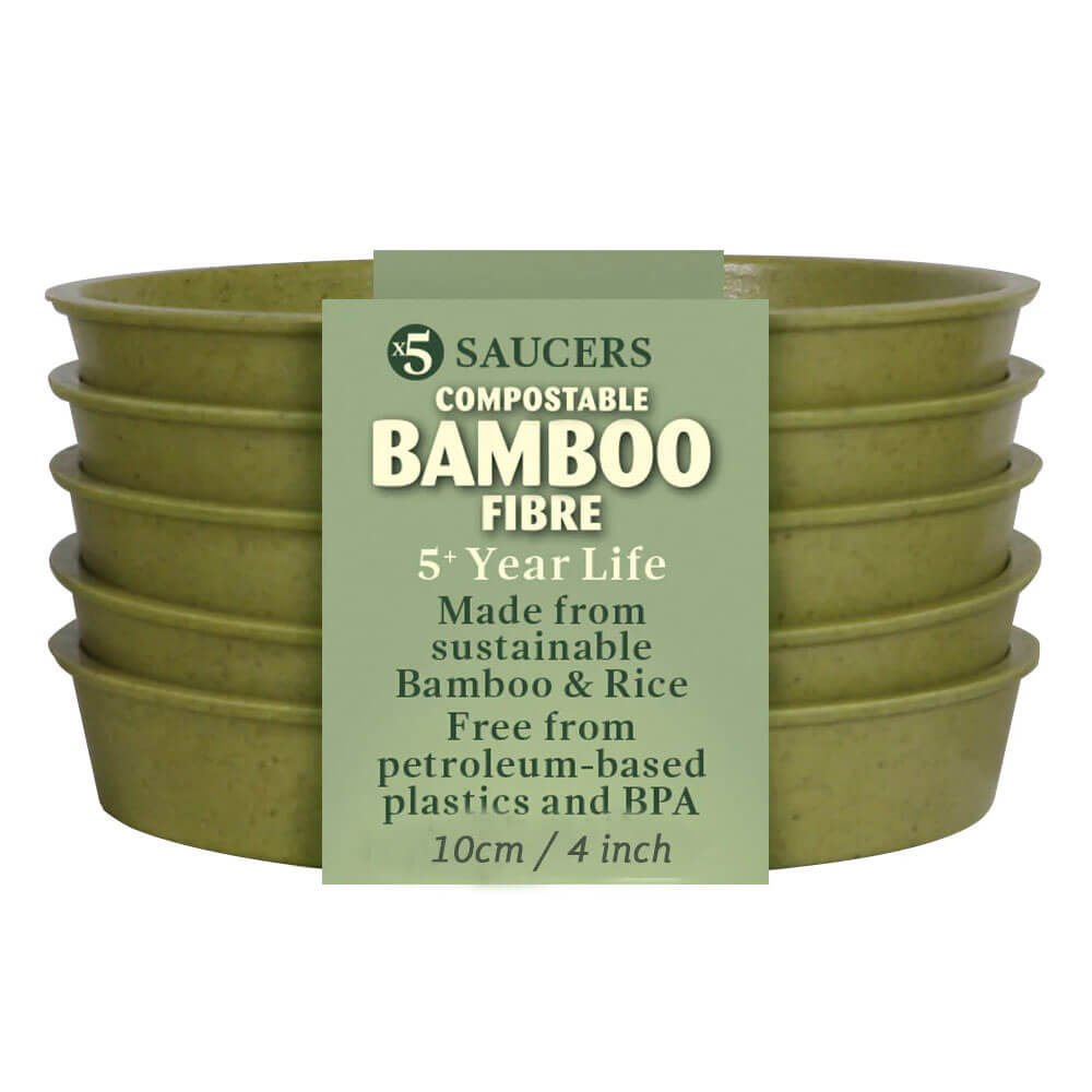 Haxnicks 4" Bamboo Saucers (Pack of 5) – New Gardener