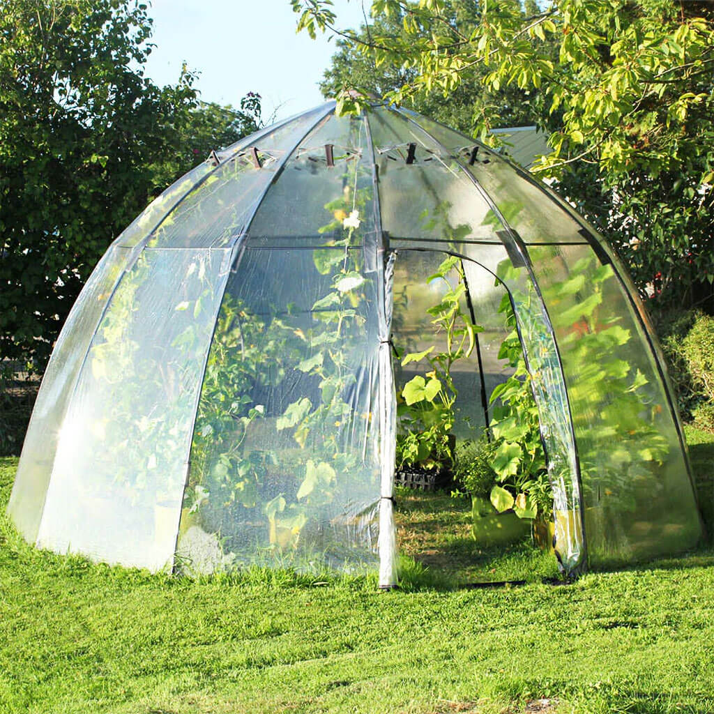 Haxnicks Large Sunbubble Portable Greenhouse – New Gardener