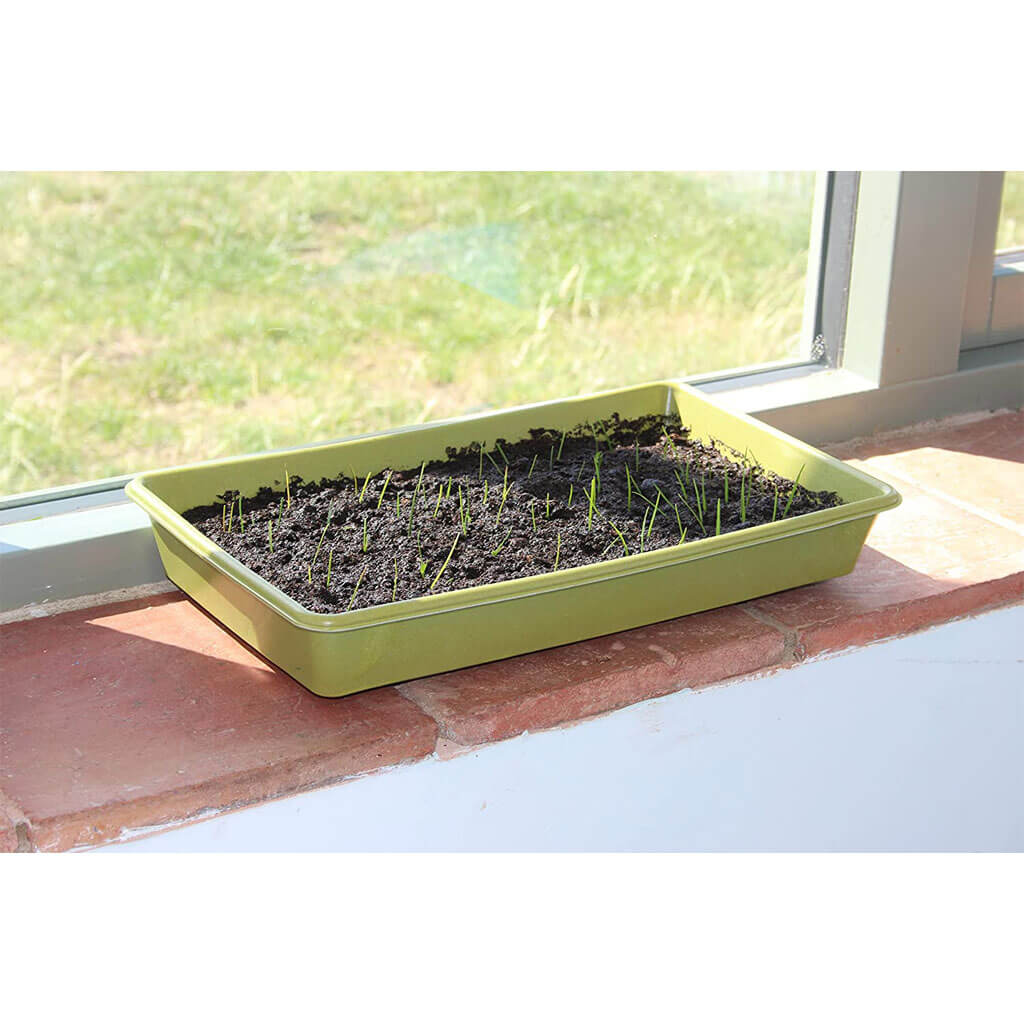 Haxnicks Bamboo Seed Tray – New Gardener