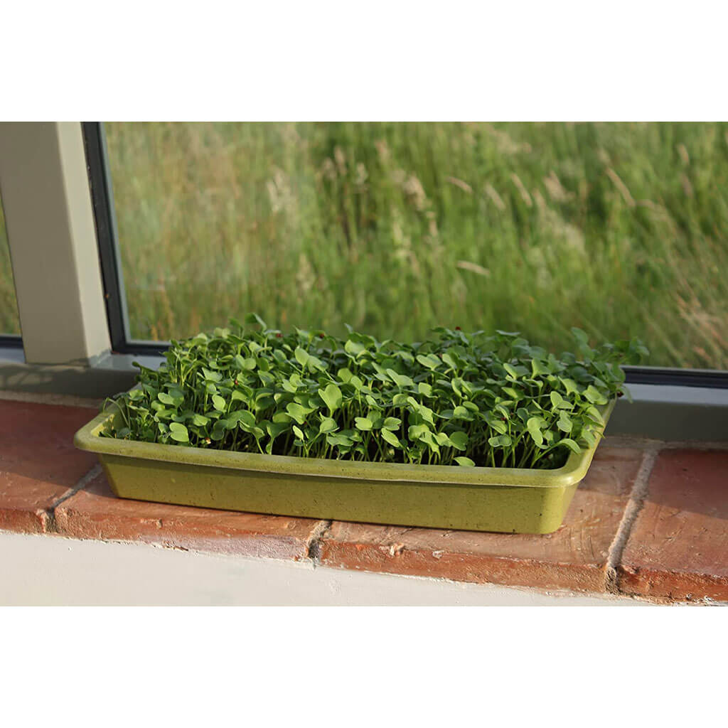 Haxnicks Microgreens Growing Mat (Pack of 3) – New Gardener
