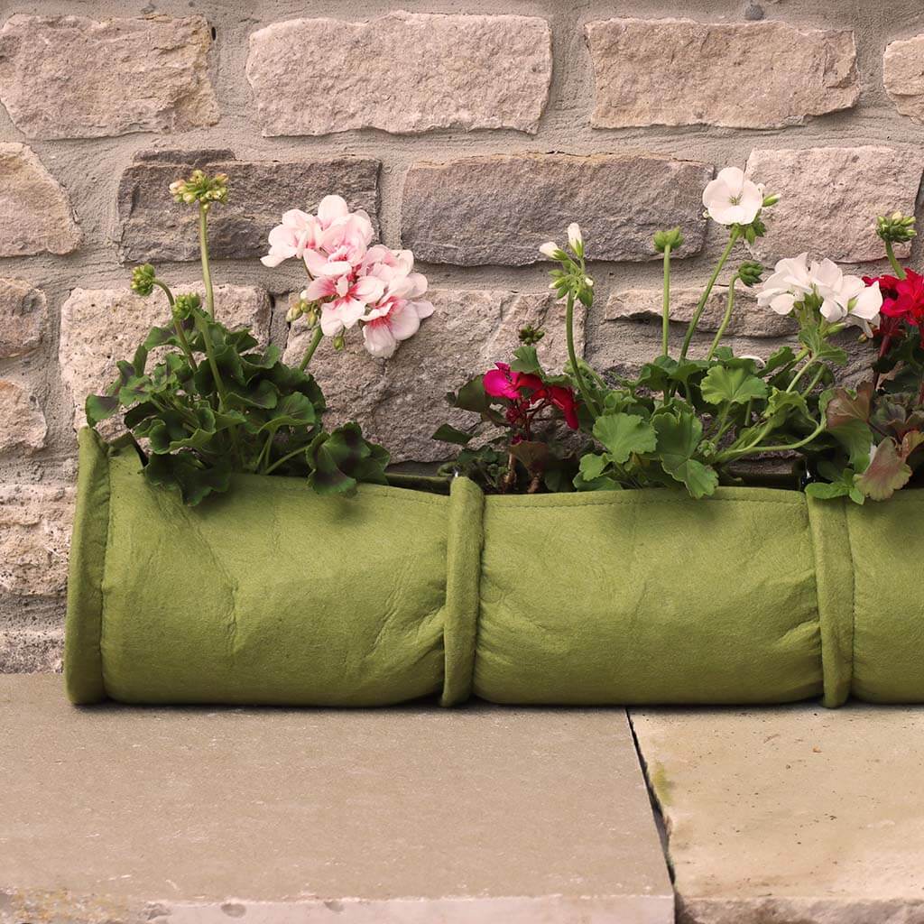 Haxnicks Vigoroot Plant Tube Planter – New Gardener