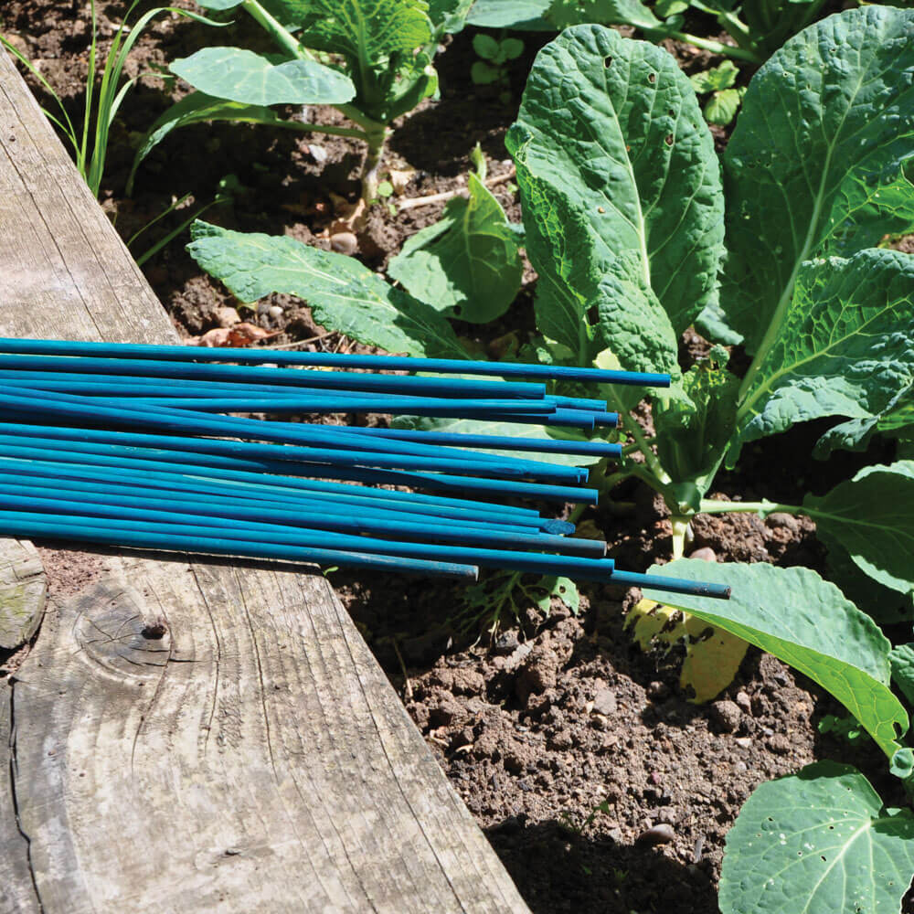 Kingfisher 60cm Green Garden Split Canes (Pack of 20) – New Gardener