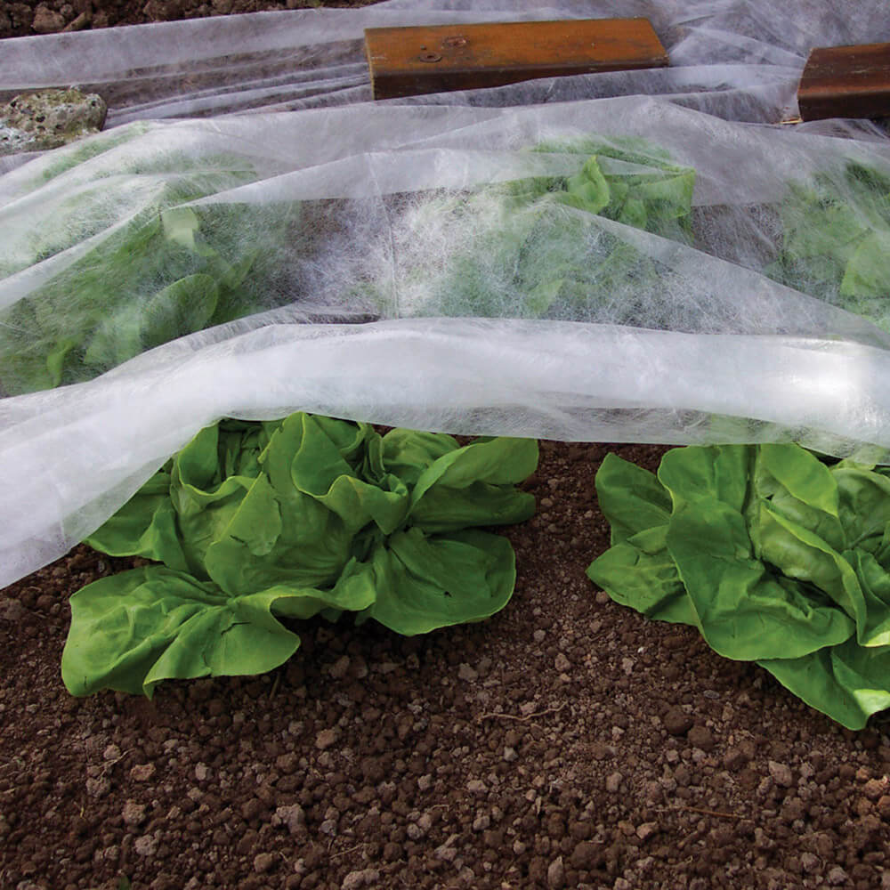 Kingfisher Frost & Insect Protection Fleece (8m x 1.5m) – New Gardener