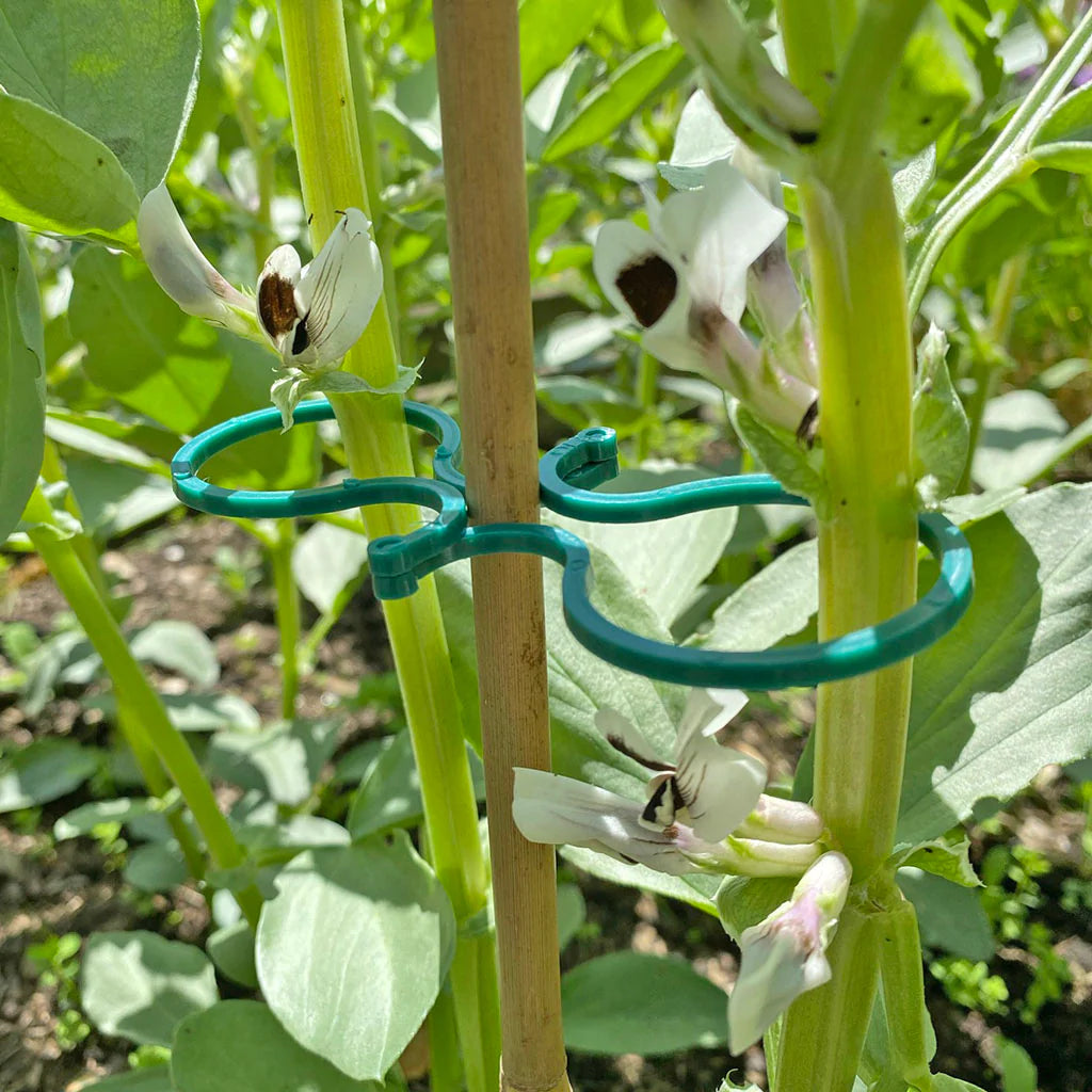 Tildenet Mixed Size Twisty Plant Rings (Pack of 50) – New Gardener