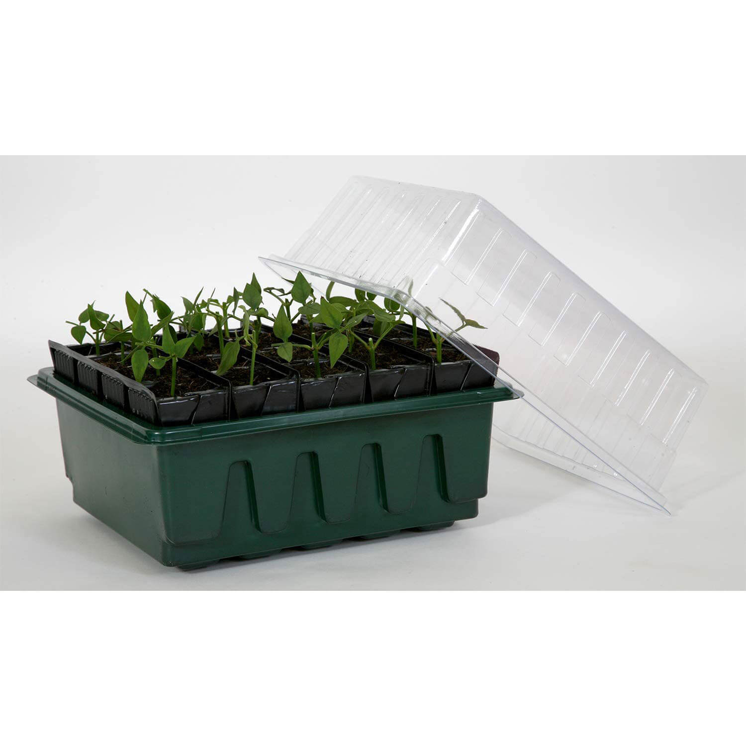 Haxnicks Compact Rapid Rootrainers – New Gardener